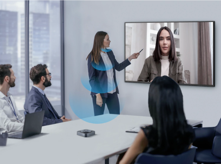 Loa hội nghị Maxhub BM35